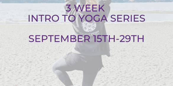 YOGA FOR BEGINNERS | Source Yoga
